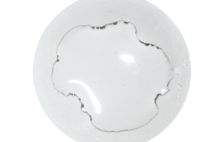 CETIOL C5 C - AMI Ingrédients